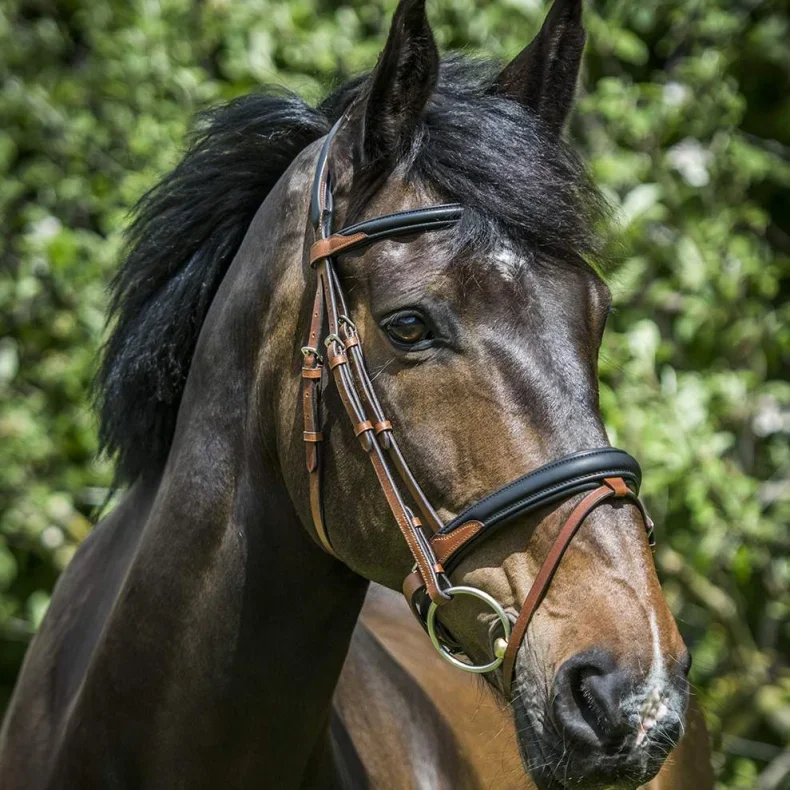 byWeber Augusta mix trense i brunt og sort læder, McCabes.dk